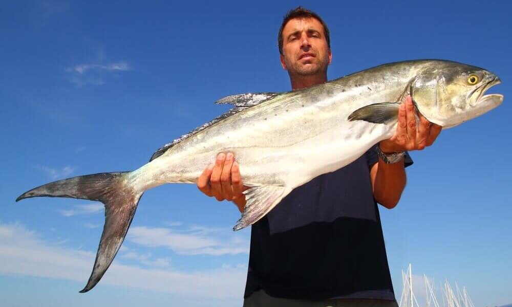 Największe złowione ryby w Polsce | Graal