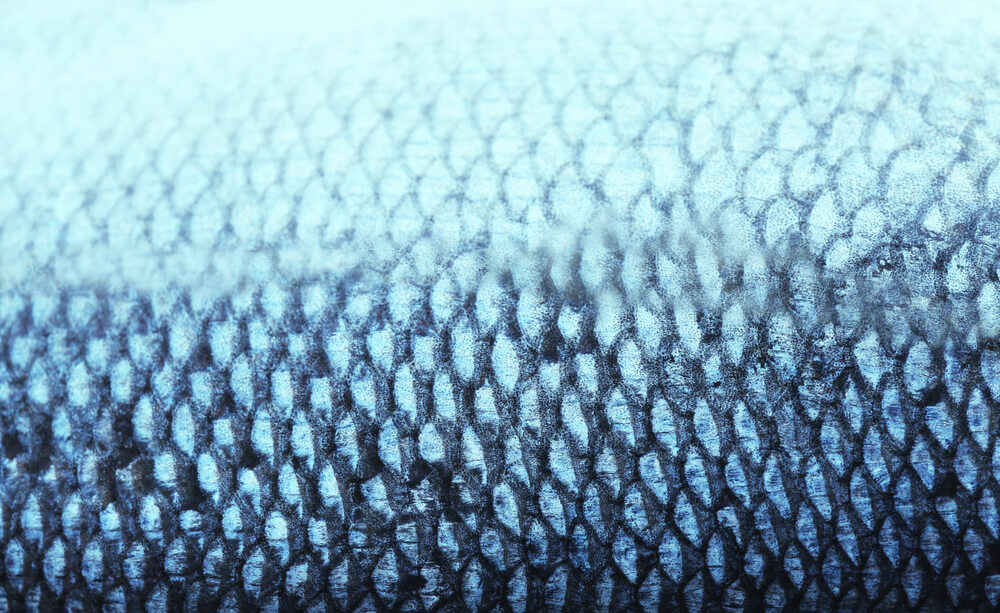 Jak usunąć łuski z ryby? | Graal